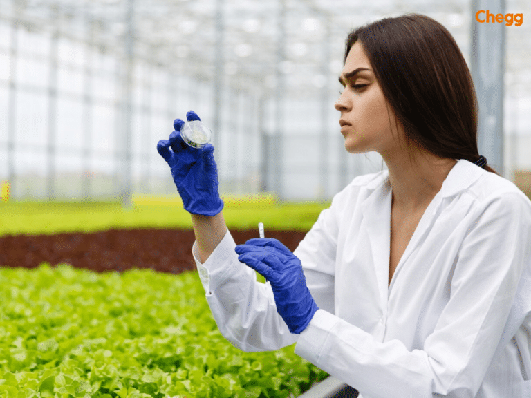 Best 9 Courses After BSc Botany: Career Options & Salary Guide