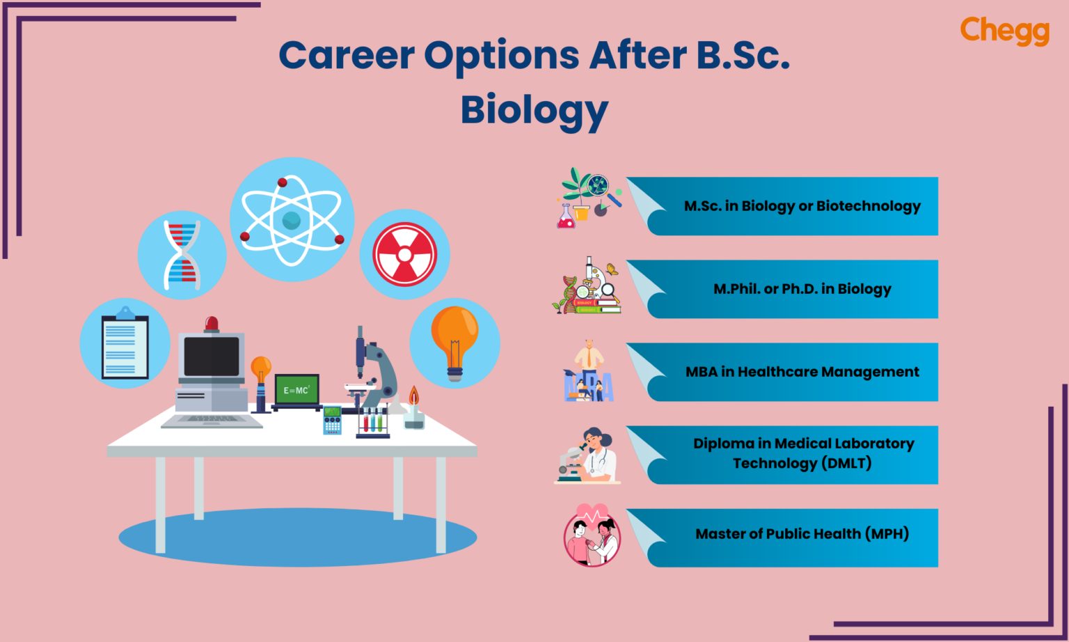 Top 10 Jobs After B.Sc. Biology: Salary & Growth (2025)