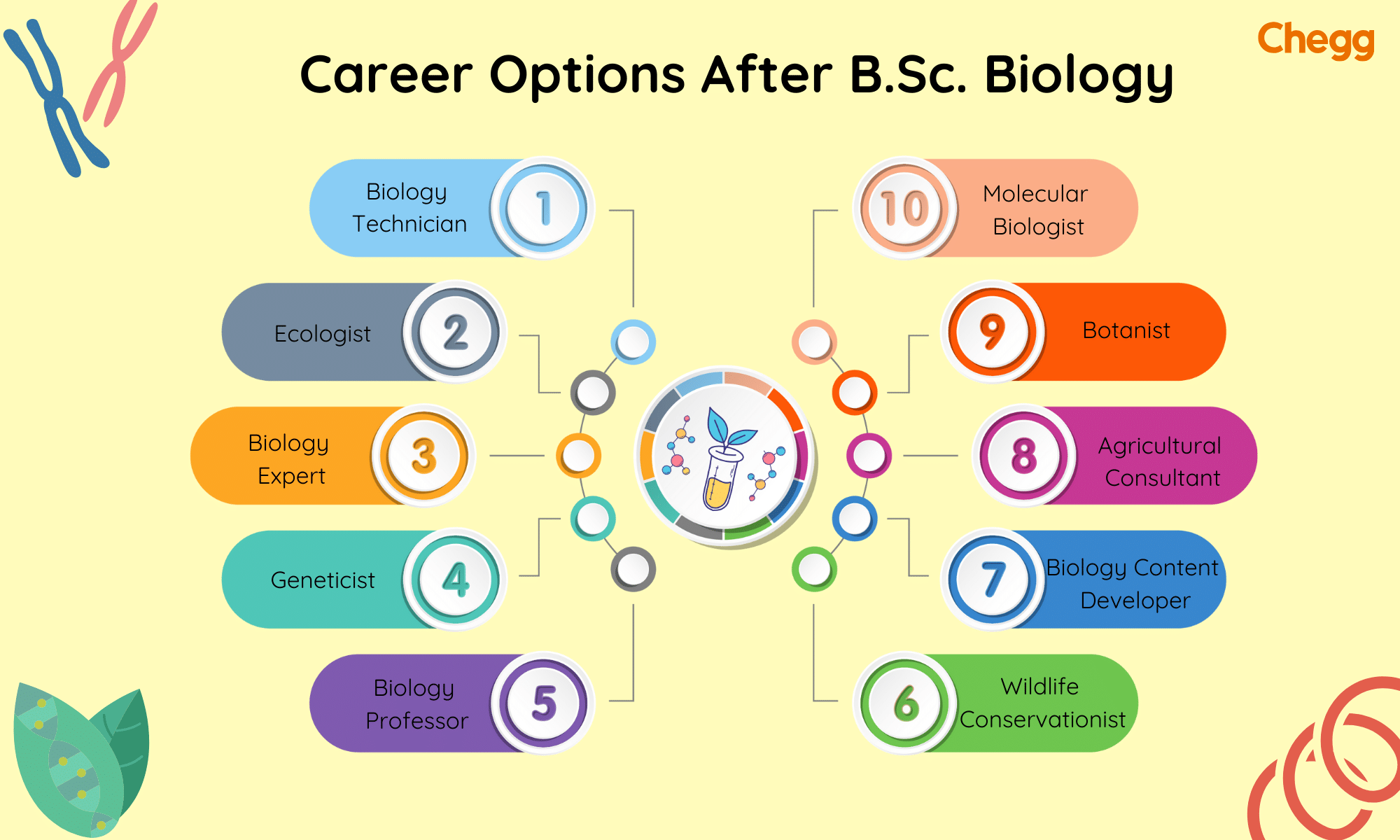 Top 10 Jobs After B.Sc. Biology: Salary & Growth (2025)
