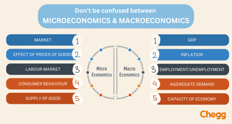 Powerful Guide to Microeconomics and Macroeconomics Differences (2025)