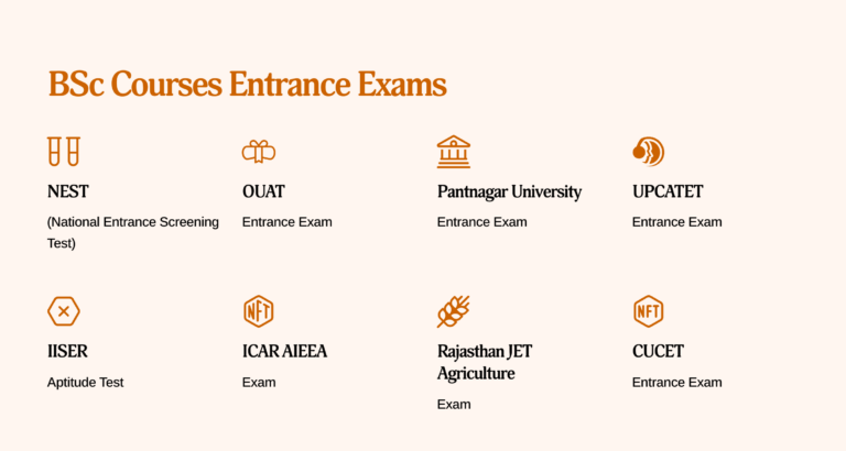 Best BSc Courses After 12th – Top Specializations 2025