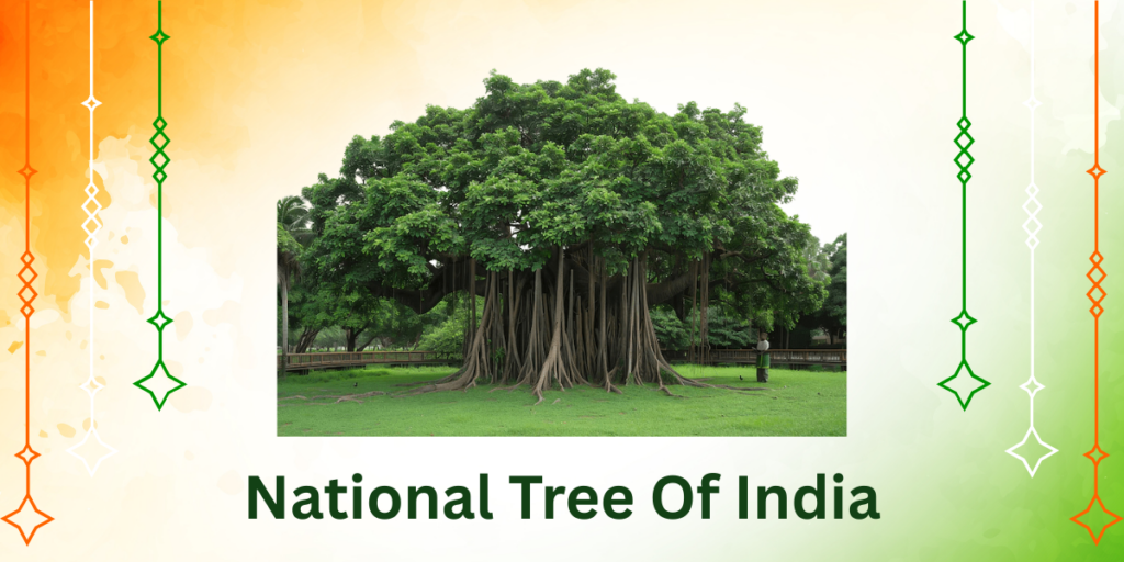 National tree of India: The Indian Banyan Tree