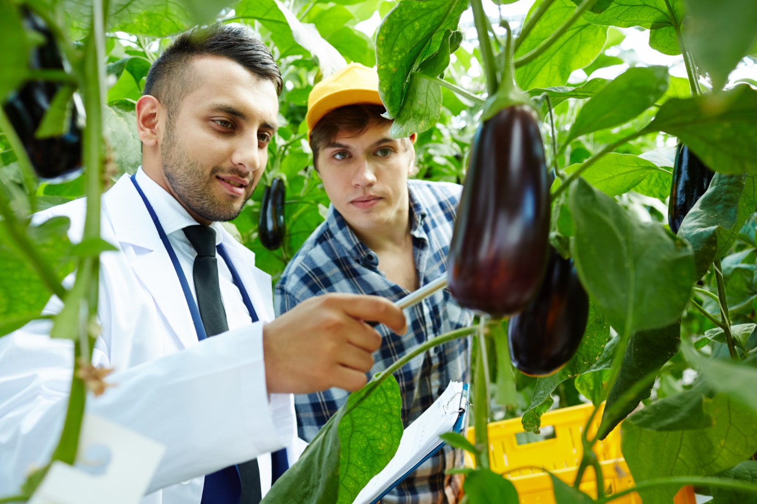 BSc Agriculture Salary: Top Jobs & Ultimate Career Prospects in 2025