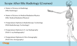 BSc Radiology: Embrace a Bright Future in Career in 2025