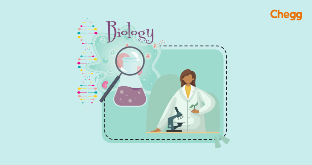 Career Advice | Get Guidance on Your Career Path | Chegg India