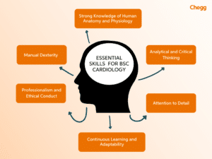 BSc Cardiology: 7 Brilliant Reasons to Choose This Course