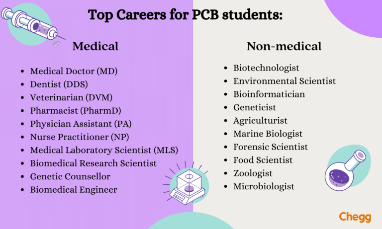 Top 20 Powerful PCB Career Options in India (2025)