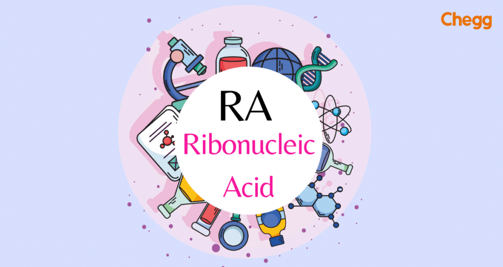 rna-full-form-ribonucleic-acid