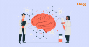 How to Become a Neurologist (2025) - A Complete Guide