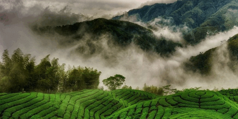 Seasons in India – Names, Months & 6-Season Ritu Explained