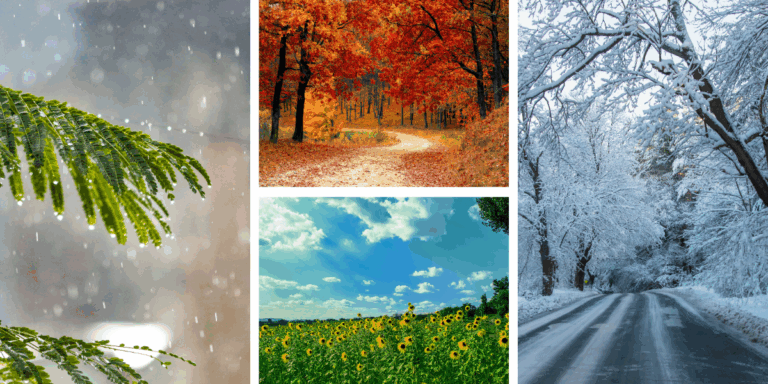 Seasons in India – Names, Months & 6-Season Ritu Explained