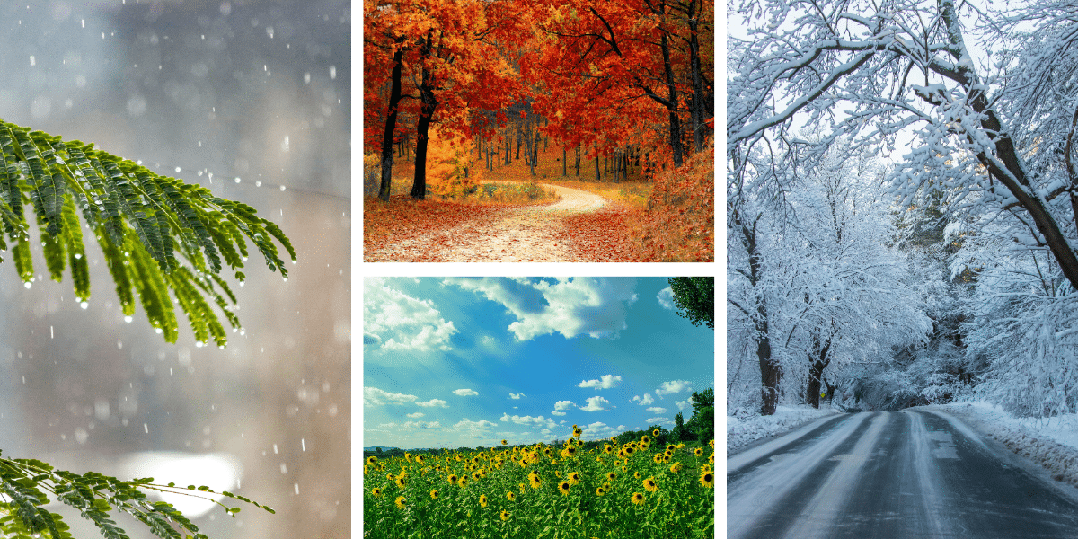Seasons in India – Names, Months & 6-Season Ritu Explained