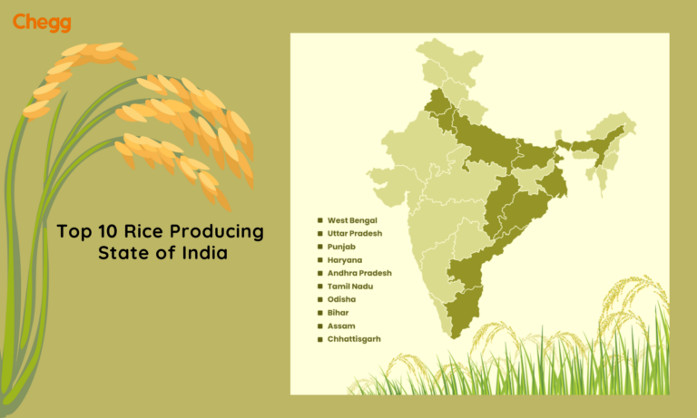 Top 10 Highest Rice Producing State in India 2025