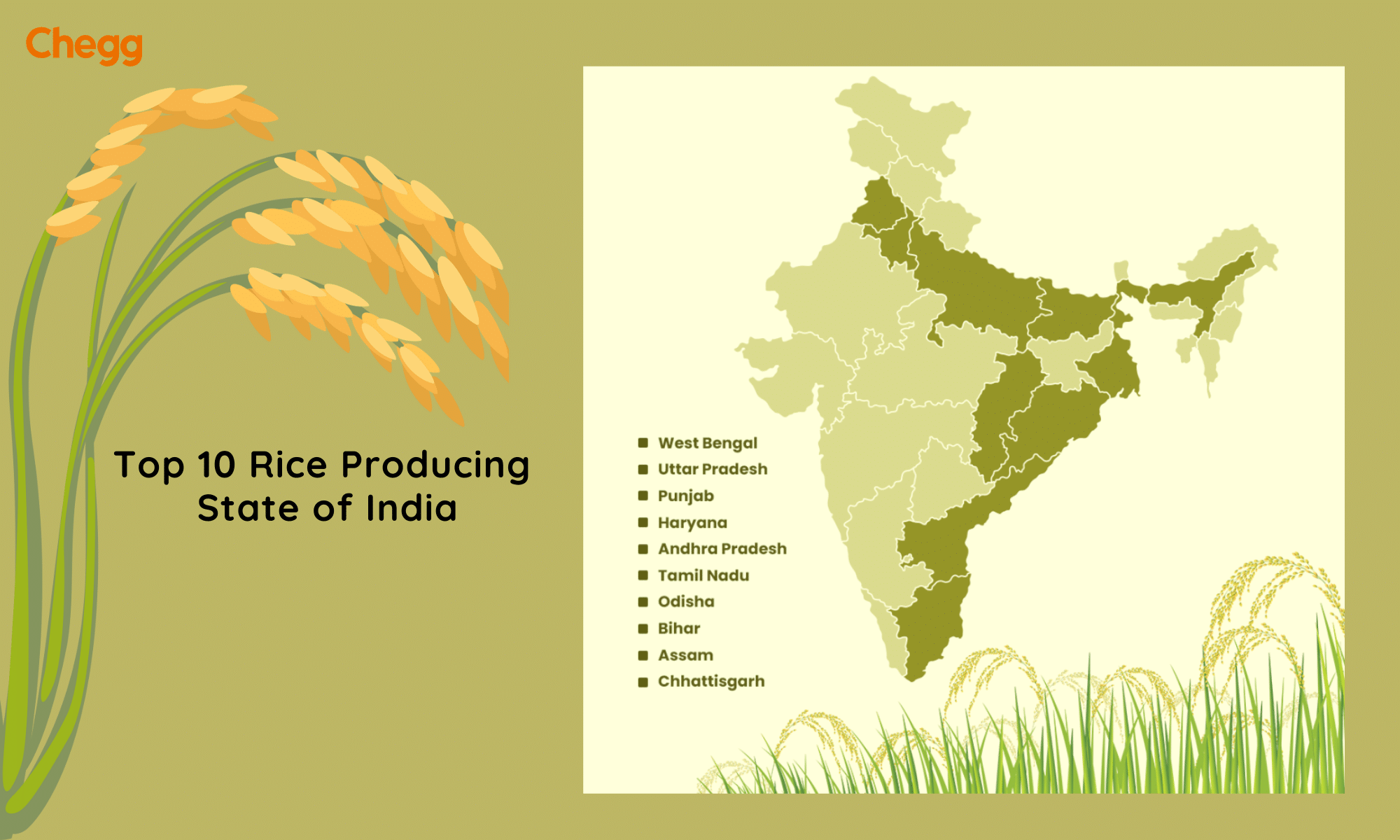 Top 10 Highest Rice Producing State in India 2025