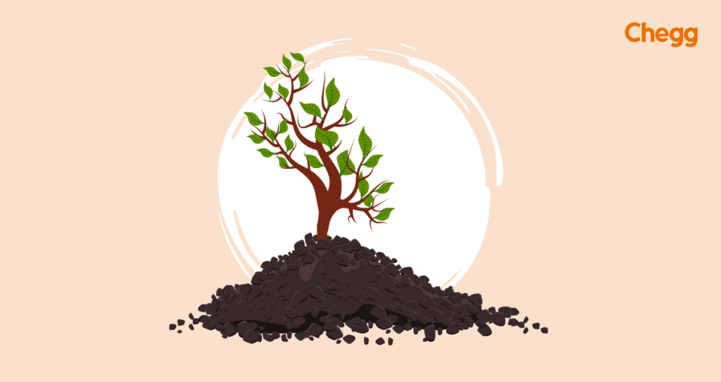 Black Soil Benefits: 5 Powerful Facts You Must Know