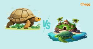 Difference Between Turtle and Tortoise: 5 Key Fascinating