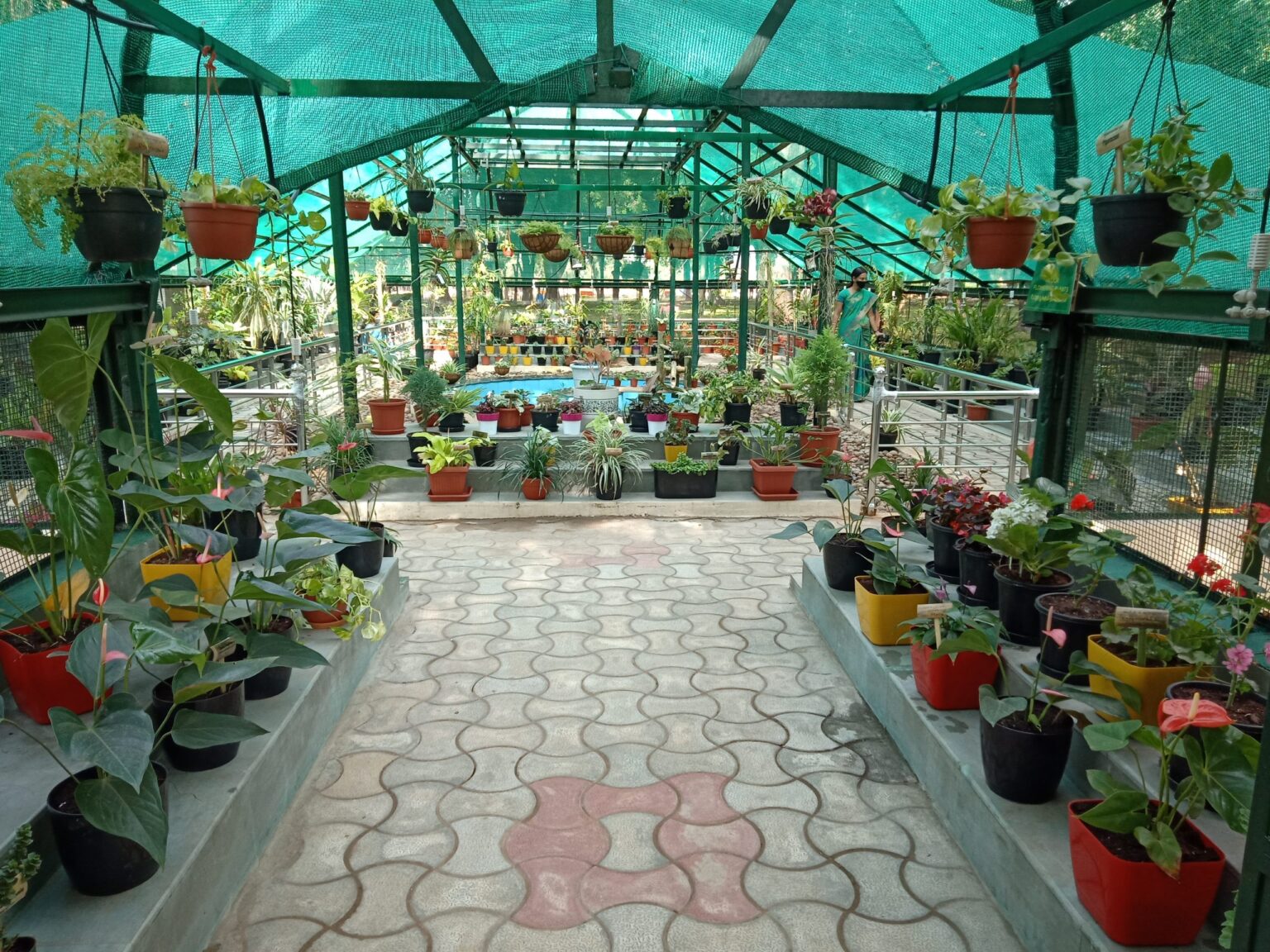 Famous Botanical Gardens in India–Top 15 Gardens, History & Tourism