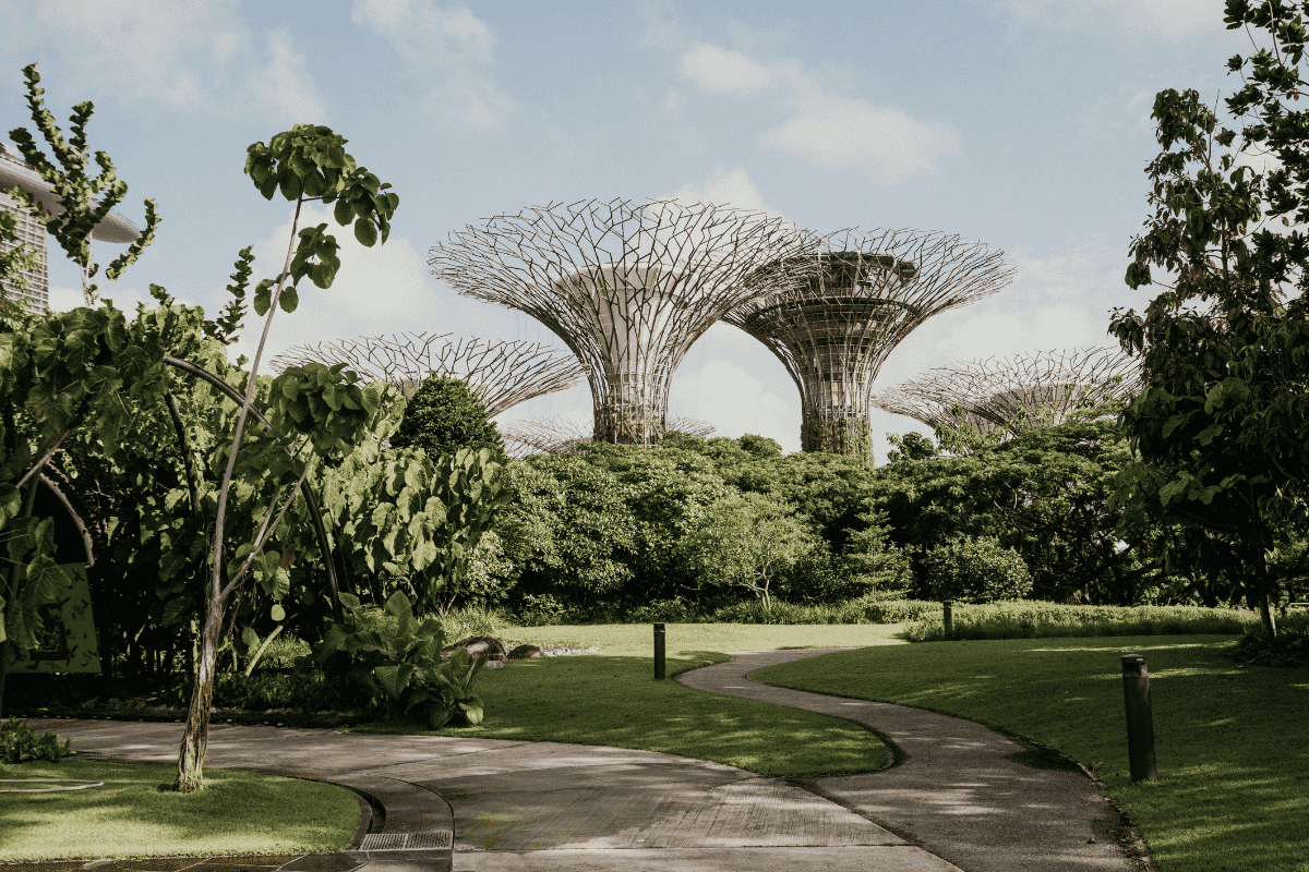Top 5 Botanical Gardens in India: The Ultimate Guide