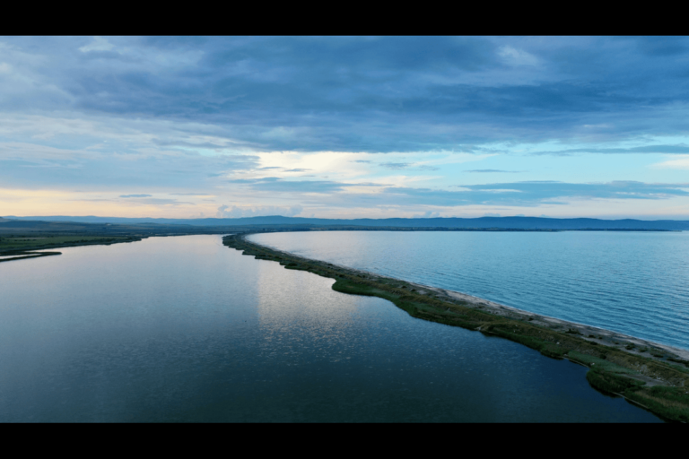 Why Is the Ocean Salty? Discover 7 Fascinating Reasons