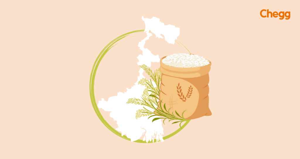 Discover the No.1 Highest Rice Producing State in India – A True ...