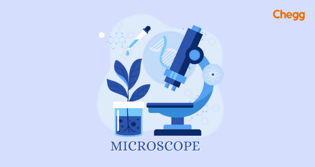 Comprehensive Guide to Microscope Diagram & Principles 2025
