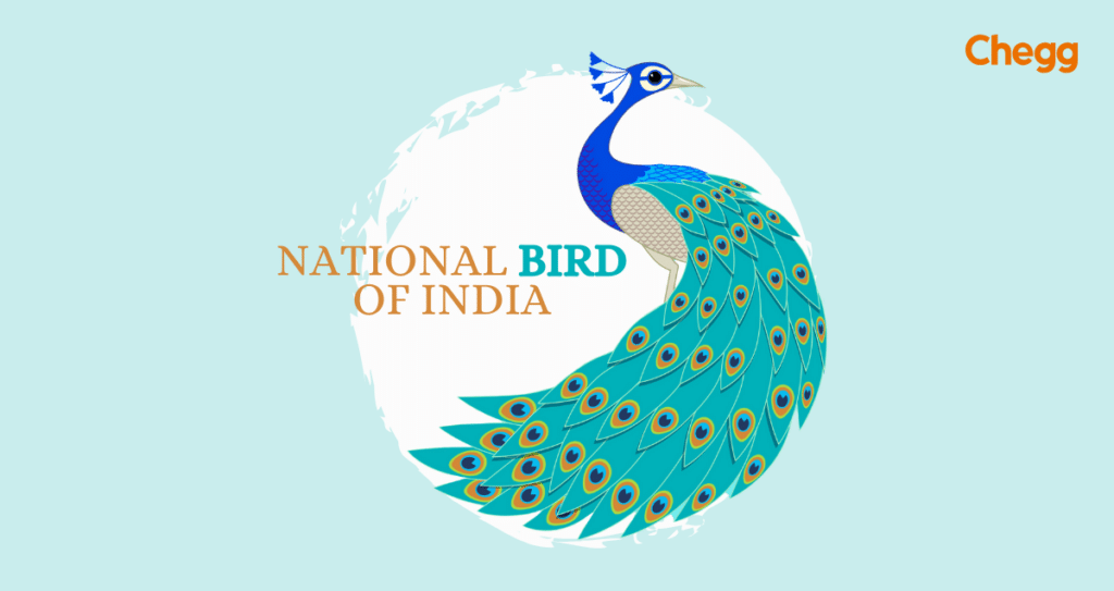 National Bird of India: 10 Fascinating Facts to Explore