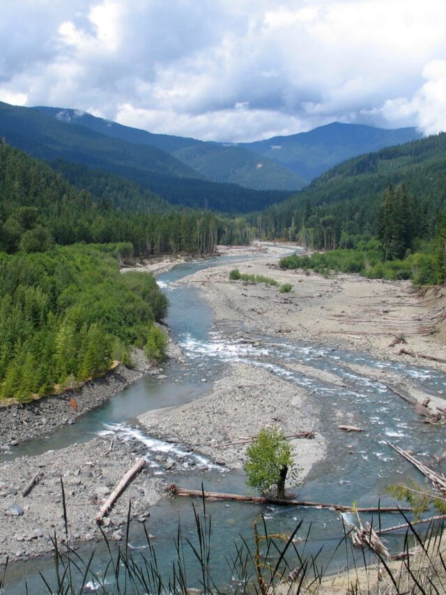 10 Longest Rivers in India - Chegg India