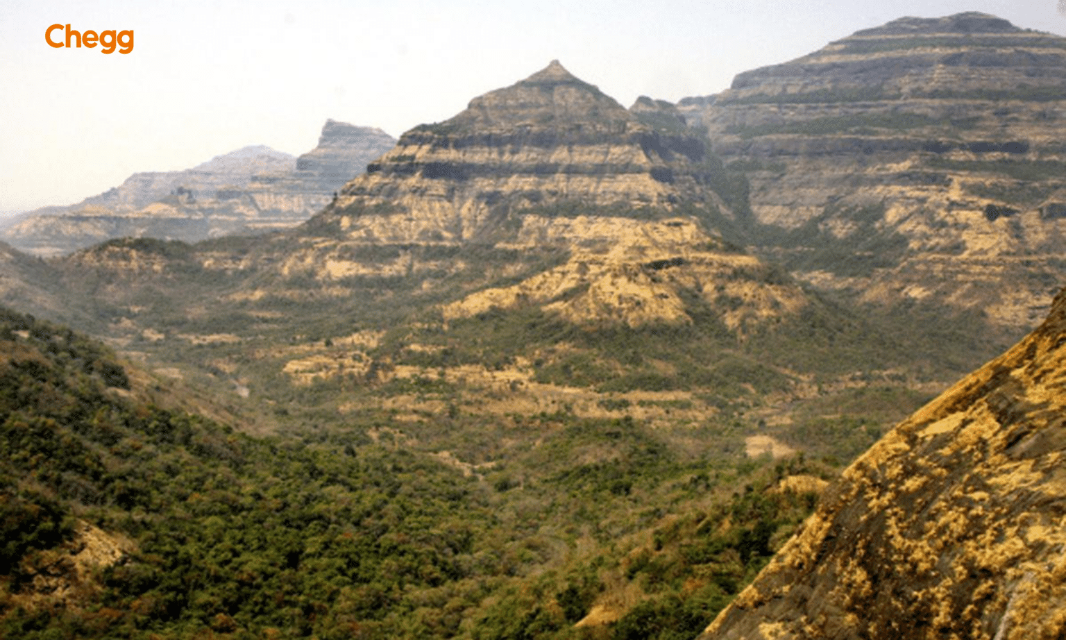 Plateaus in India: 5 Important Facts to Consider!