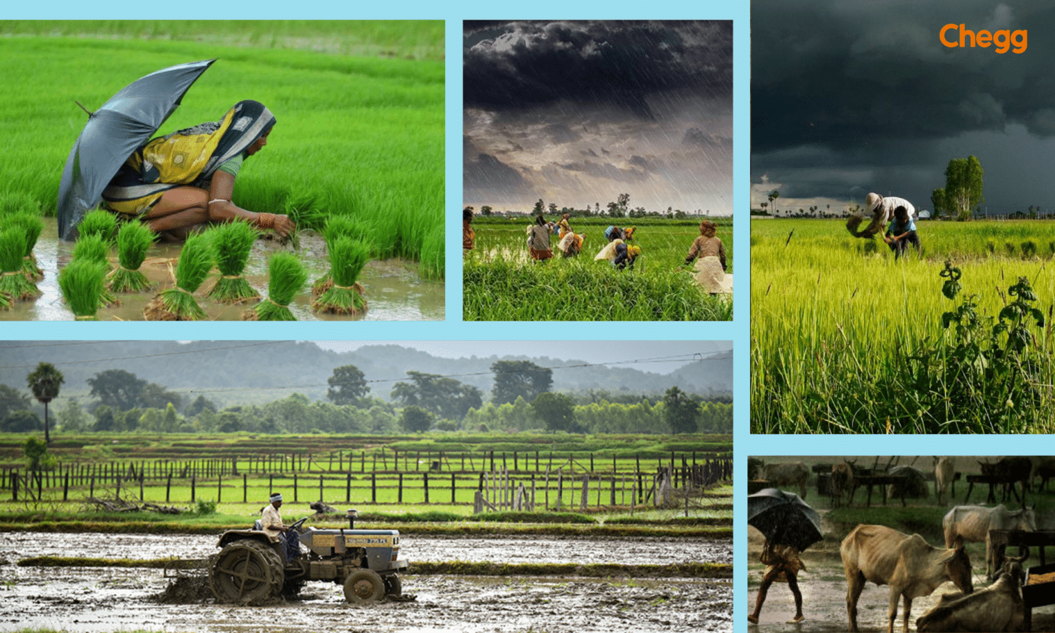 Highest Rainfall in India: 5 Amazing Rainiest Places