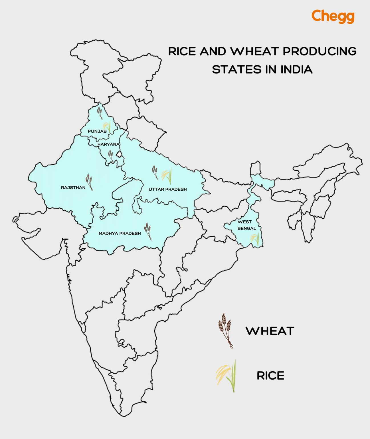 Crop Seasons in India: Kharif, Rabi & Zaid Differences