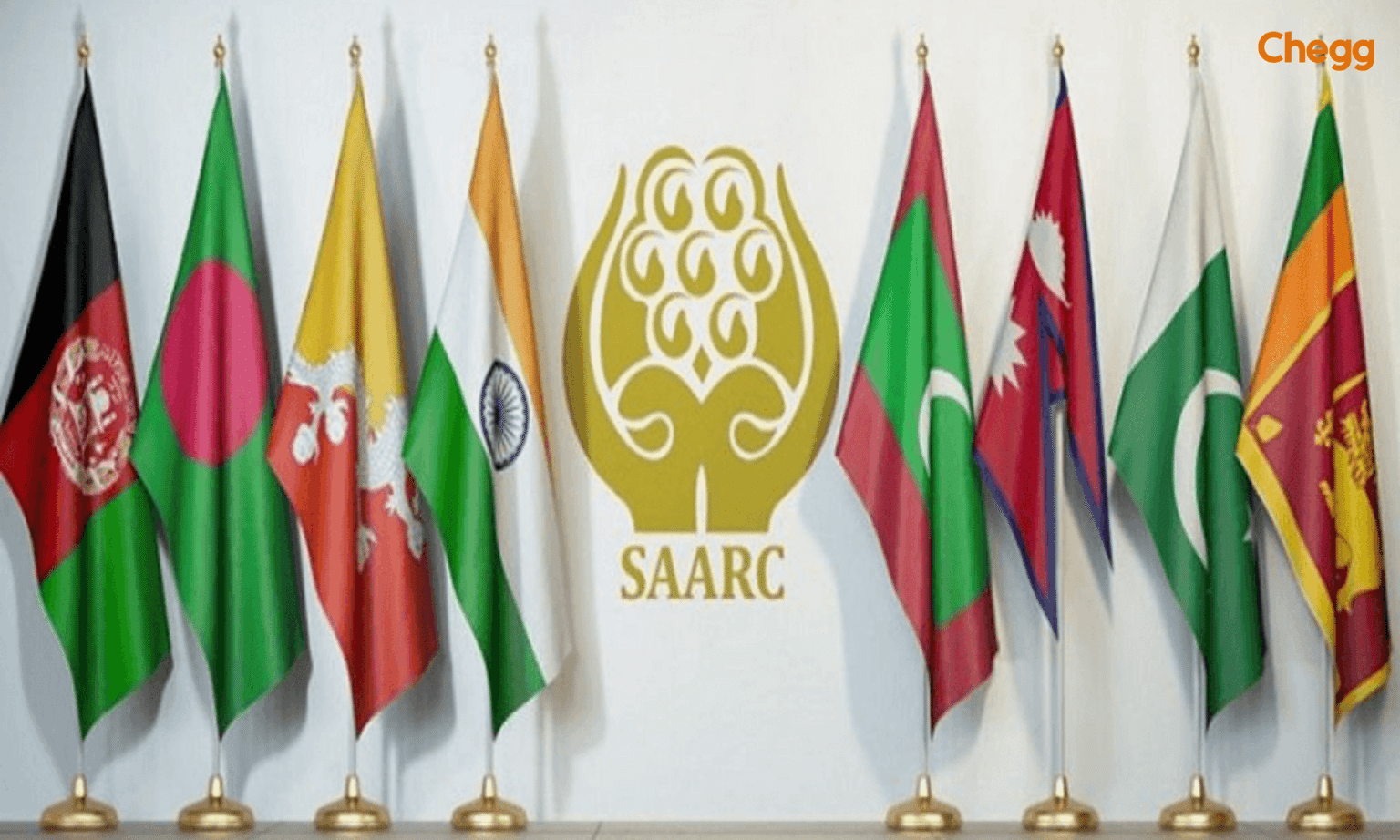 Objectives of SAARC – Key Aims & Principles Explained
