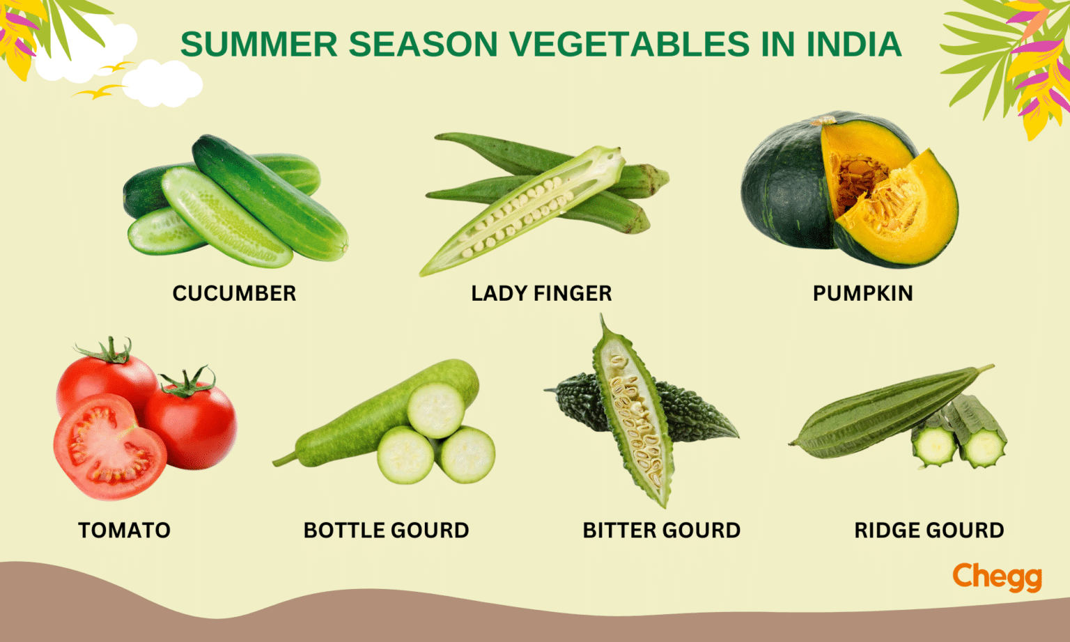 Summer season fruits in India and their benefits.
