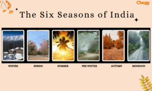 4 Incredible Seasons in India: Types, Months & Weather Guide