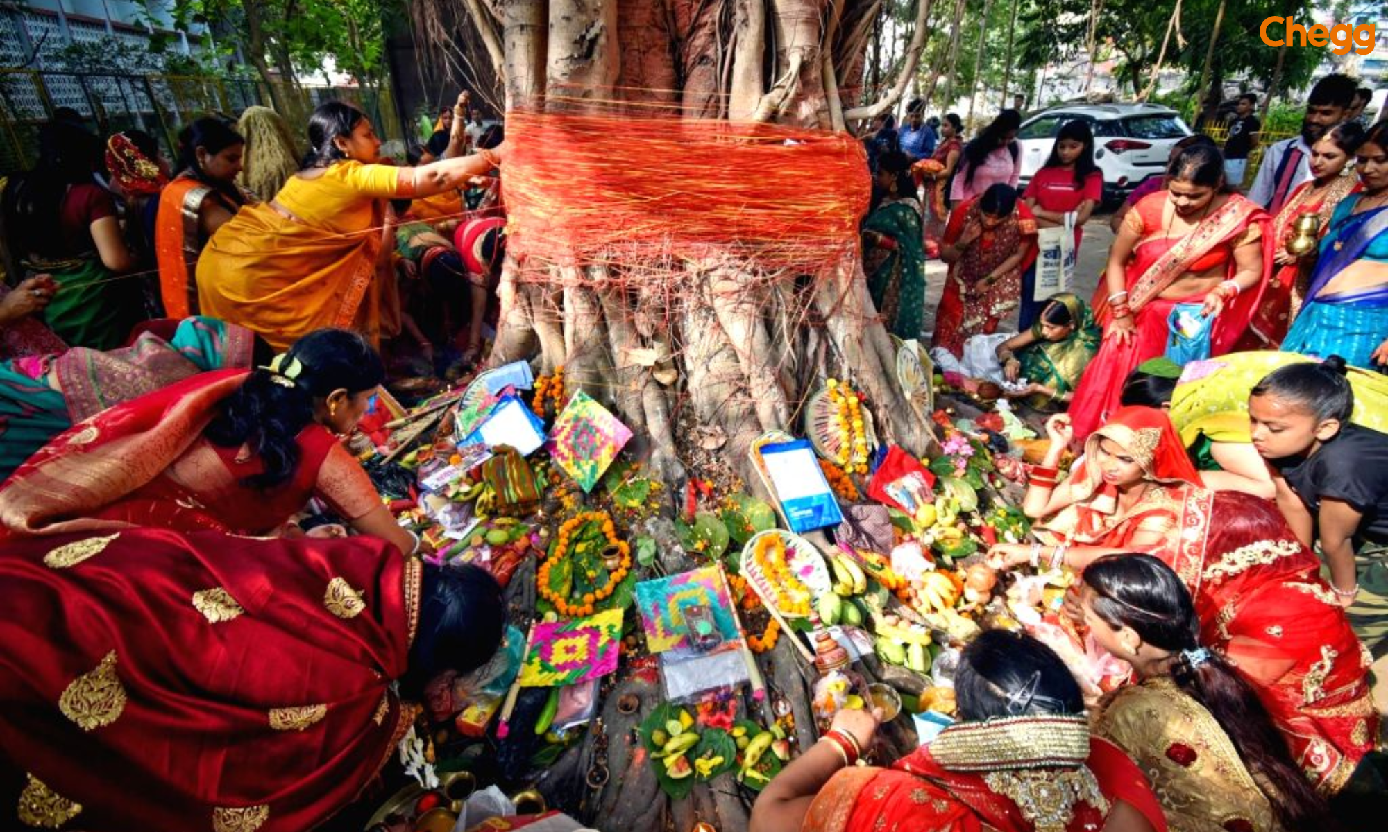 Fascinating Facts About to National Tree Of India (2025)!