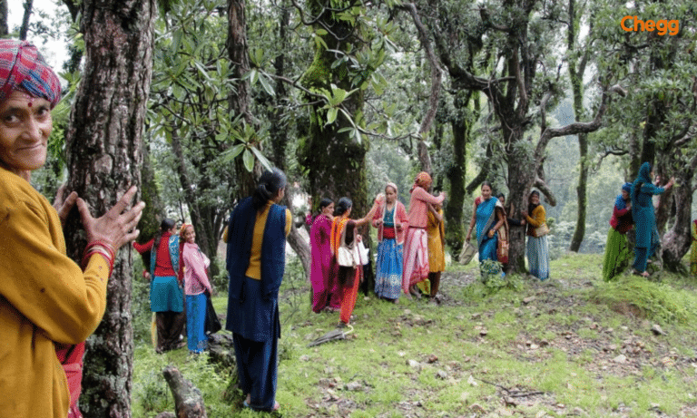Chipko Movement: Top 3 Inspiring Legacy of India's Warriors