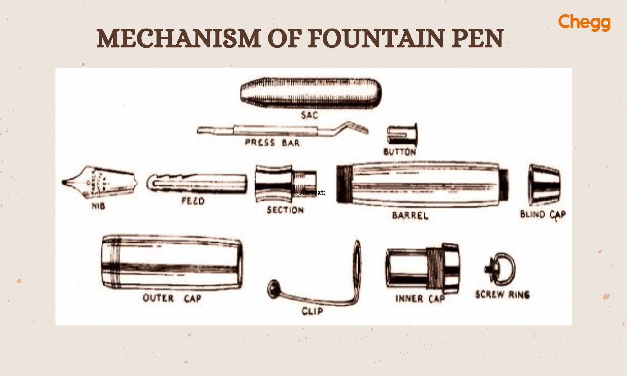 Who Invented Fountain Pen? The Brilliant 1827 Breakthrough