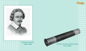 Who Discovered Microscope? 5 Incredible Breakthroughs