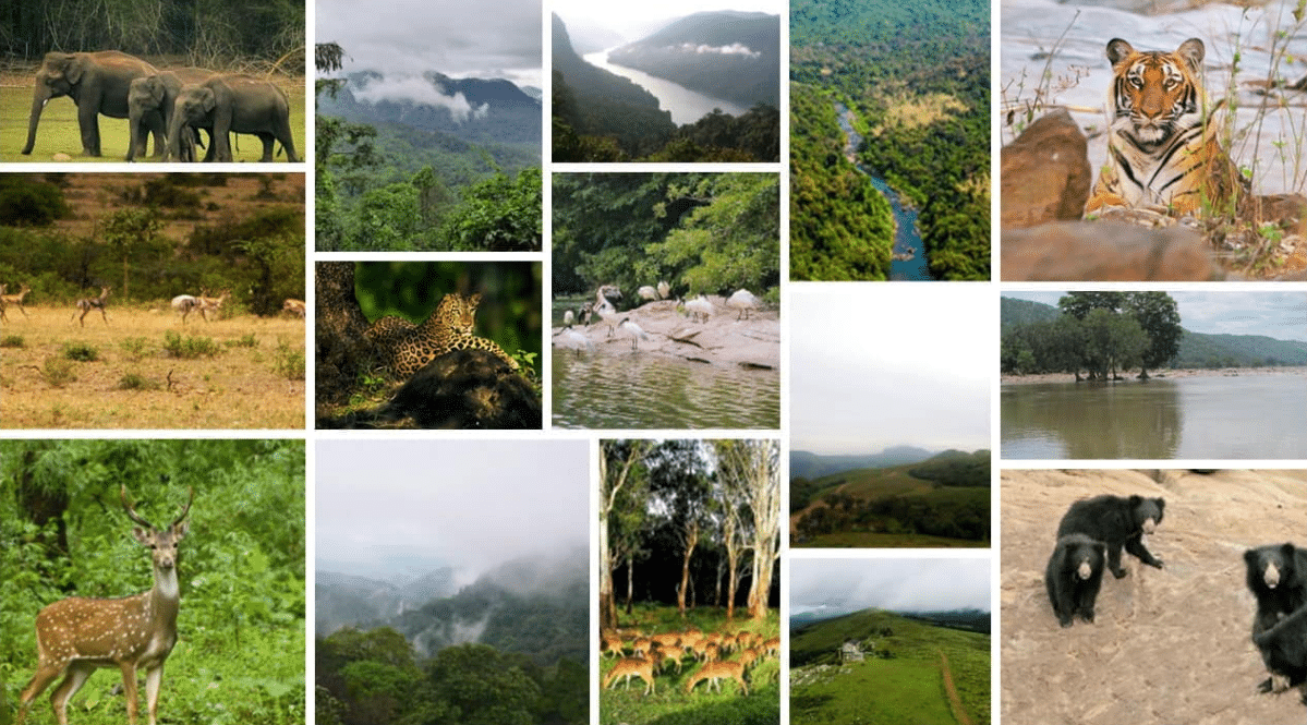 Discover 18 UNESCO Biosphere Reserve in India: Protect Ecosystem