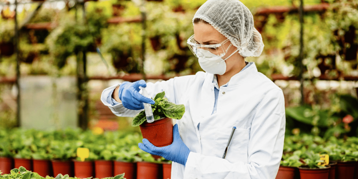 How to Become a Research Scientist: Career Journey, & Growth in 2025