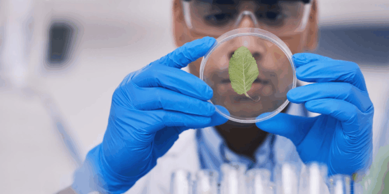 How to Become a Research Scientist: Career Journey, & Growth in 2025