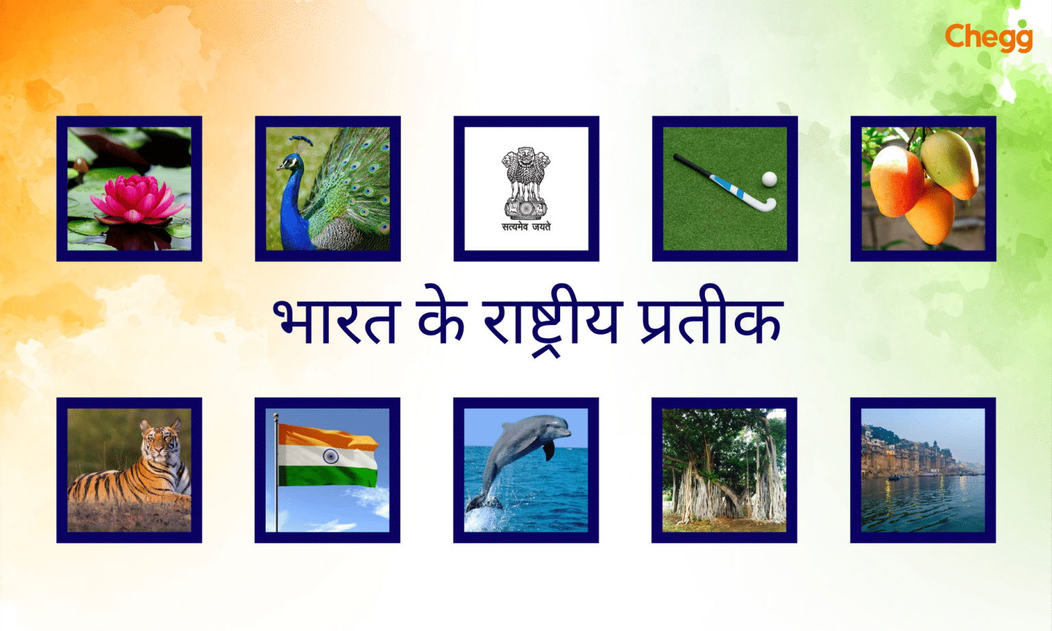 भारत के राष्ट्रीय प्रतीक | 17 National Symbols of India