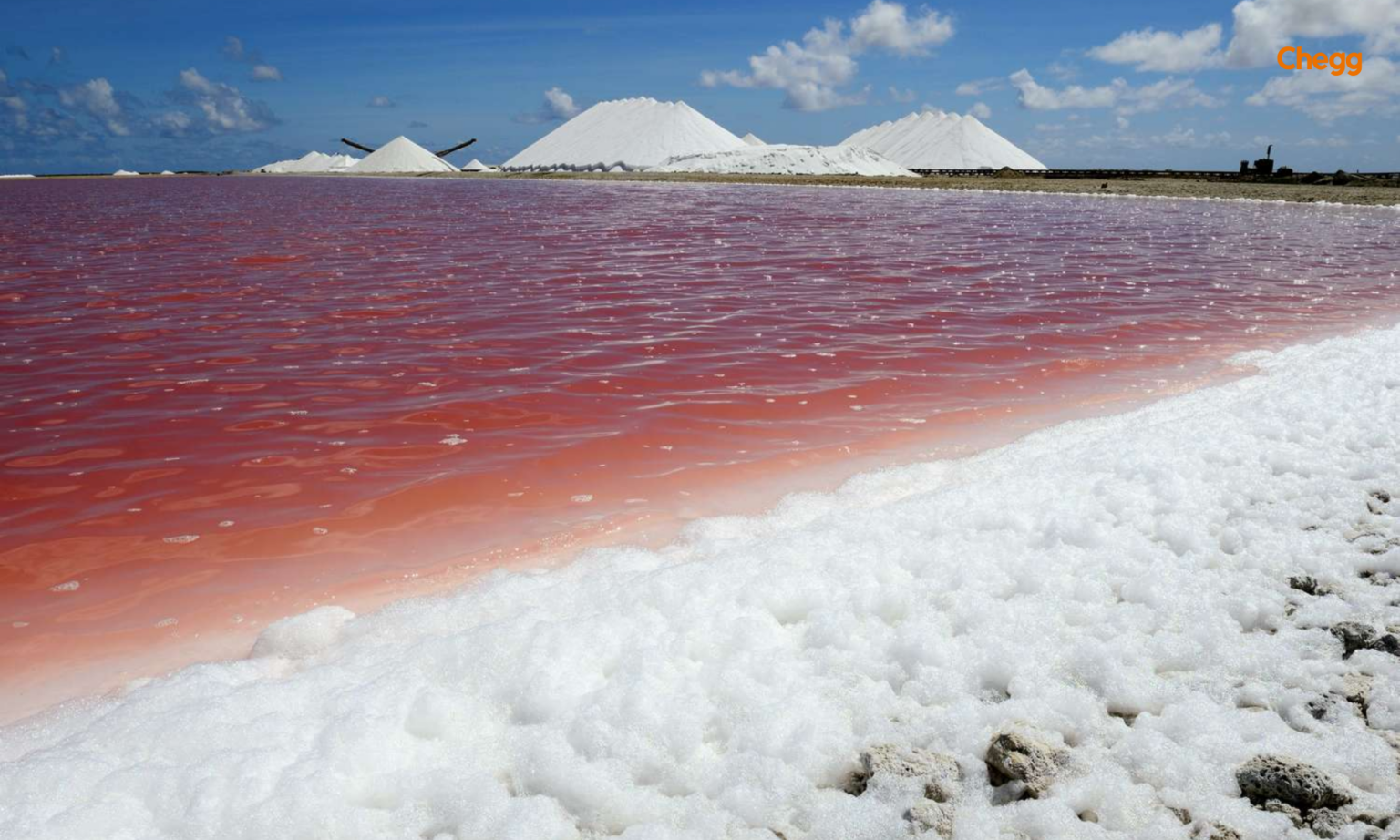 Why Is the Ocean Salty? Discover Nature's Salty Secrets