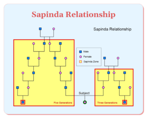 10 Powerful Insights into Sapinda Marriage & Its Legal Aspects