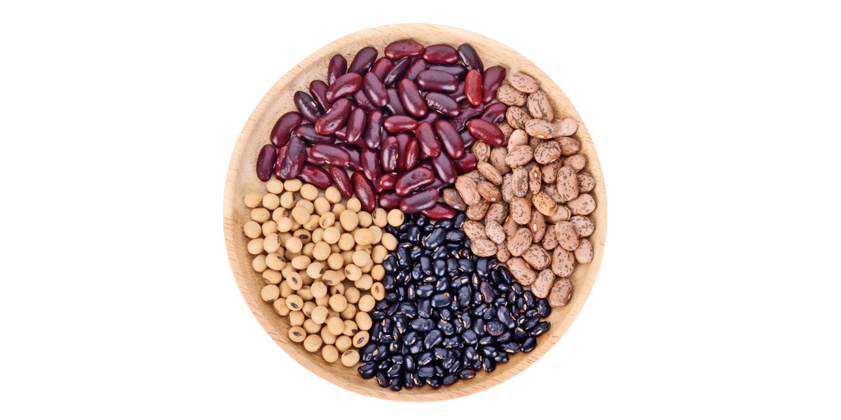 Top List of Pulses: Essential List of Nutritious Types