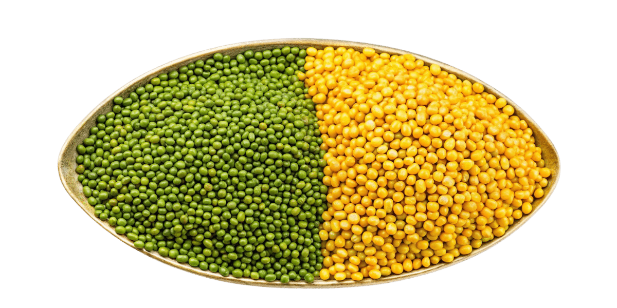 Top List of Pulses: Essential List of Nutritious Types