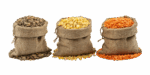 Top List of Pulses: Essential List of Nutritious Types
