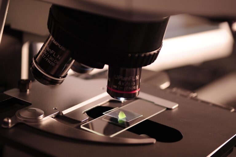 Guide to Microscope Diagram: Parts, Functions & 8 Types