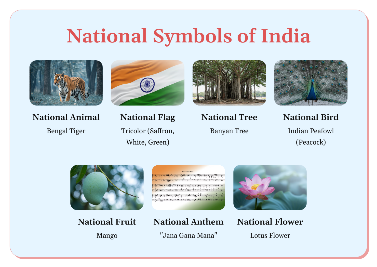 National Fruit of India: 5 Amazing Mango Facts