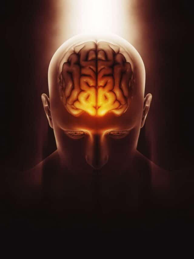 Psychology Behind Why We Make Bad Decisions - Chegg India