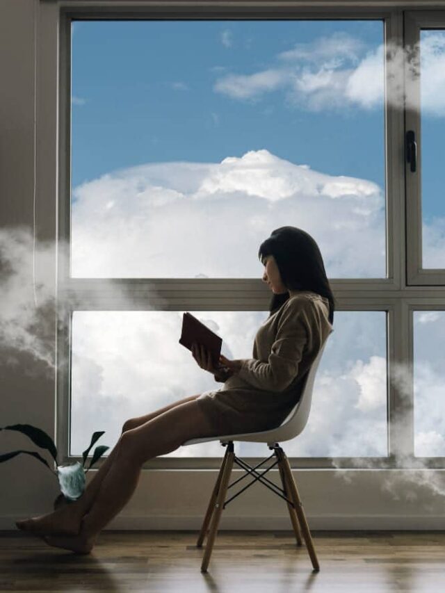 You're Not Alone: 6 Books That Truly See Your Loneliness - Chegg India